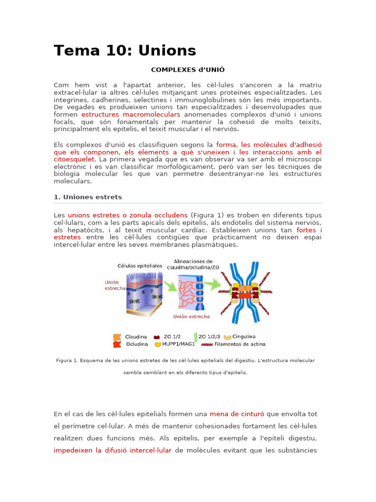 Tema 10 - Unions | PDF