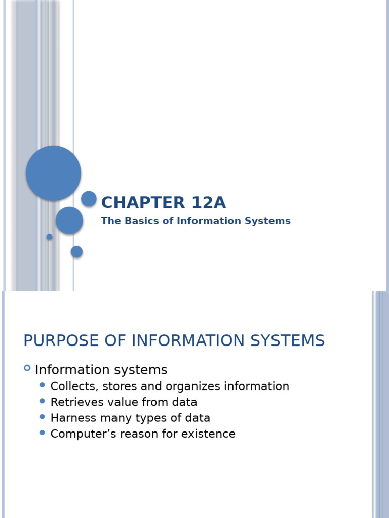 Overview of Information Systems Basics | PDF | Software Development ...