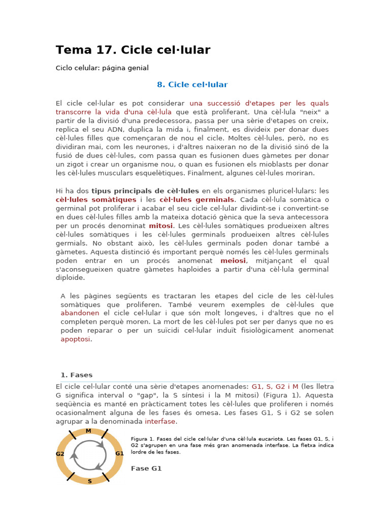 Tema 17. Cicle Cel Lular | PDF