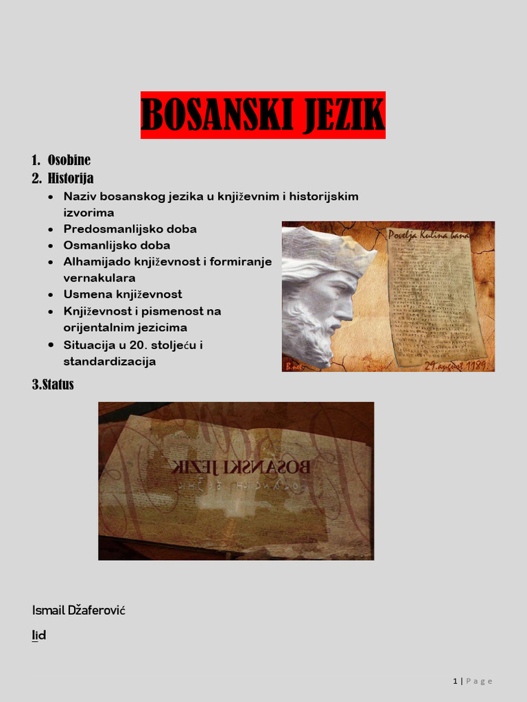 BOSANSKI JEZIK historija | PDF