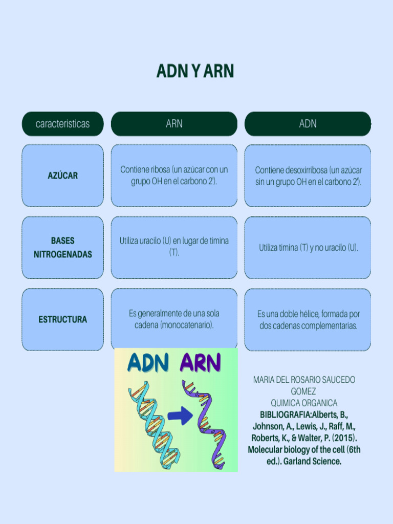 Quimica Organica Adn y Arn | PDF