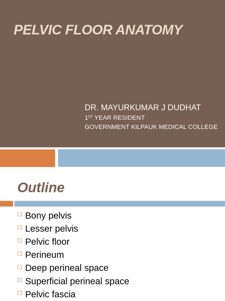 Pelvic Floor Anatomy Overview | PDF | Pelvis | Musculoskeletal System