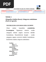 Amabizo Summary Applied African Language Zulu | PDF