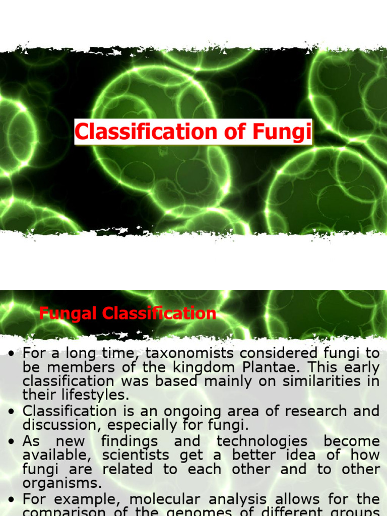 Fungal Classification Identification and Laboratory Diagnosis New 3 ...