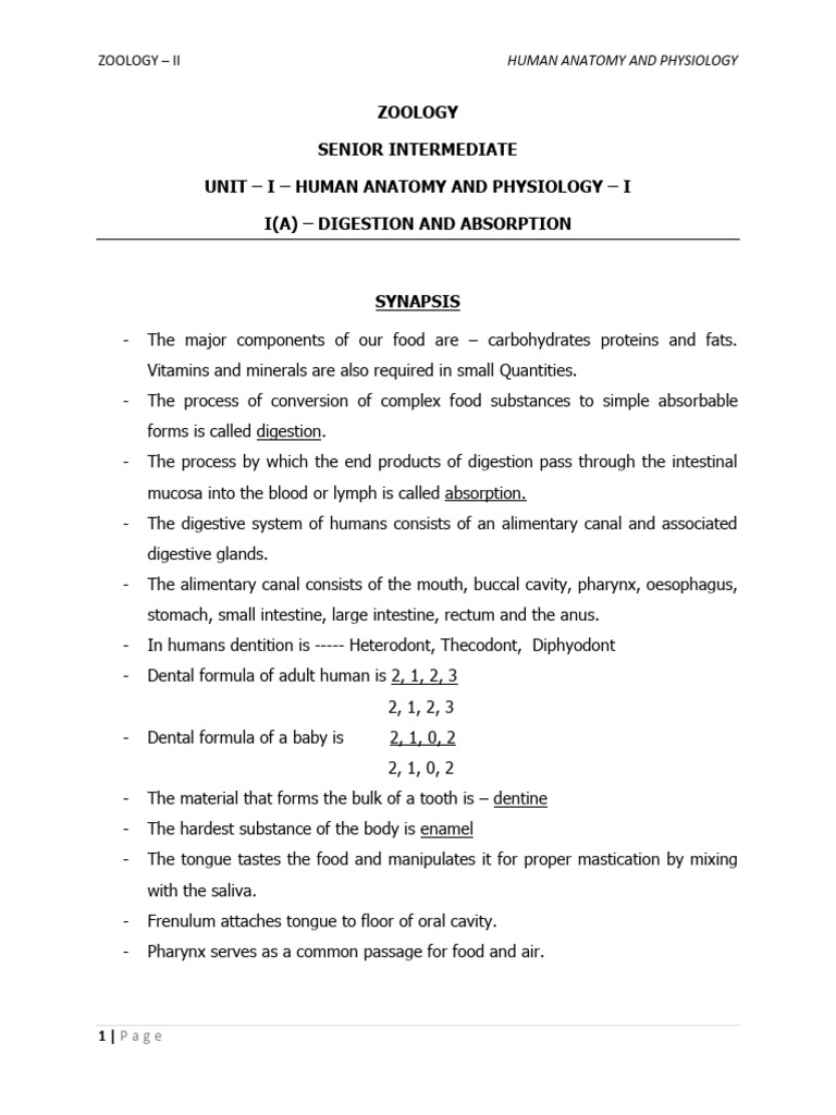 Chaduvu - 12 - Zoology NEET Material by APBIE | PDF | Digestion | Stomach
