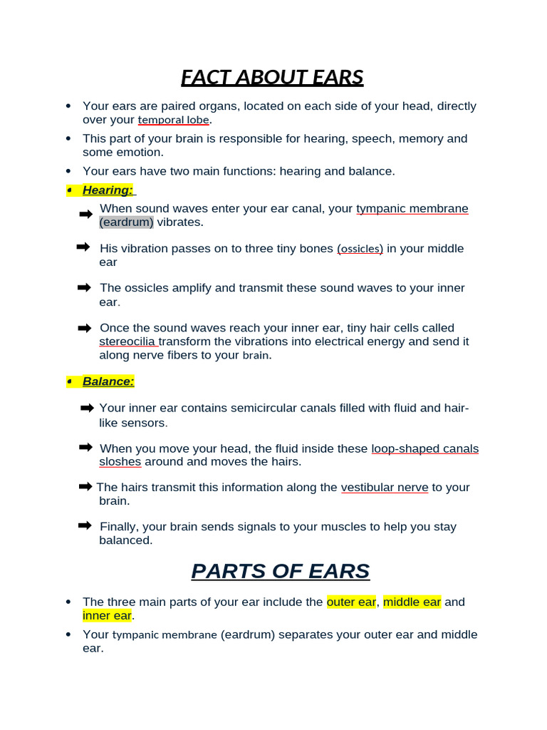 Fact About Ears | PDF