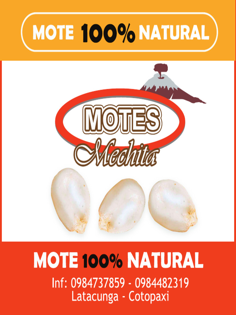 Mote Impresion | PDF