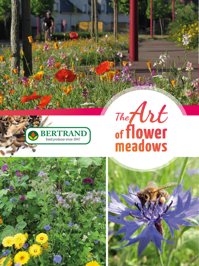 Catalog Flower Meadows Bertrand Web English | PDF | Meadow | Flowers