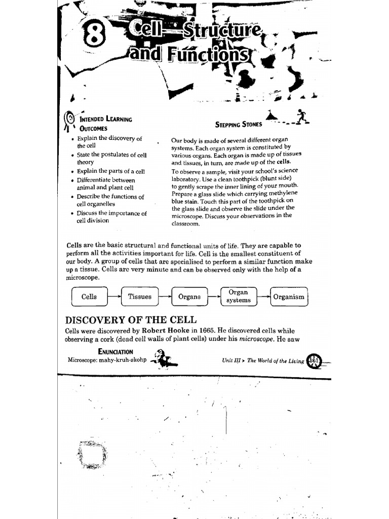 Ch-8 Cell Structure and Functions | PDF