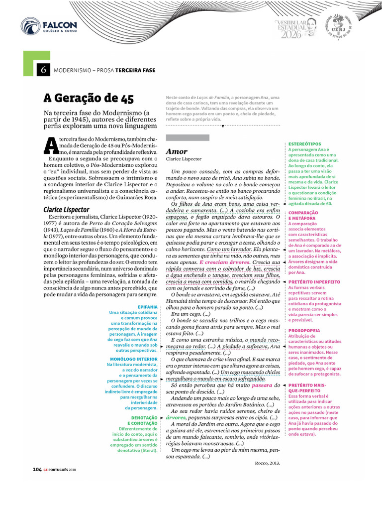 Falcon - PV - Uerj 2026 - Eq 1 - Material Compilado | PDF | Deficiência visual | Metáfora