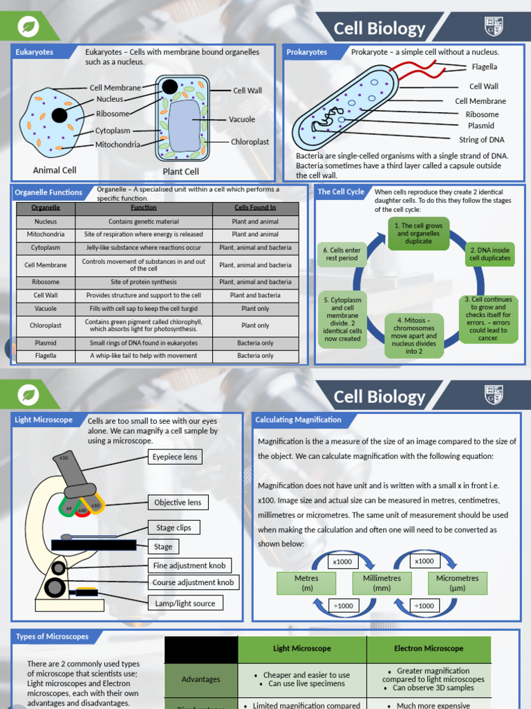 Chapter 1 Cell Biology - Knowledge Organiser Updated 2023 | PDF | Cell ...