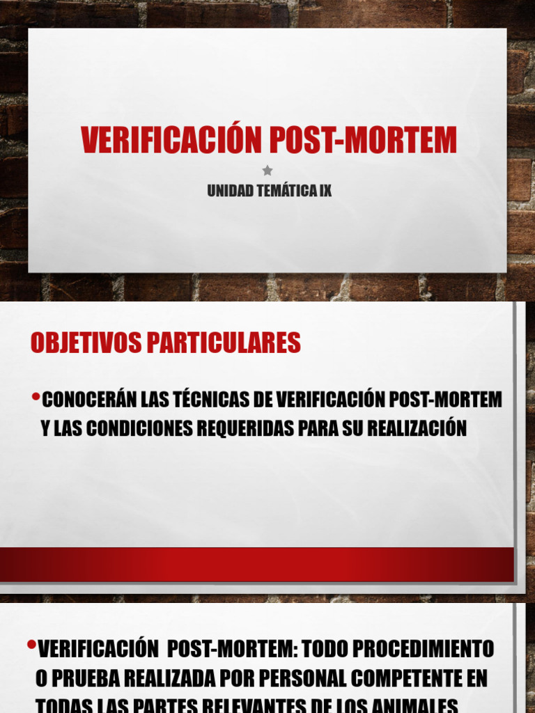 Verificacion Post-Mortem | PDF | Dolor | Pistola