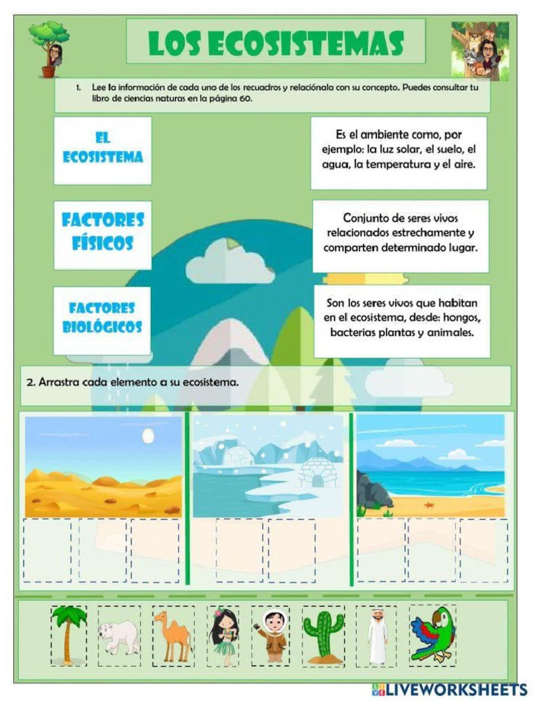 Ficha de Trabajo Sobre Ecosistemas | PDF