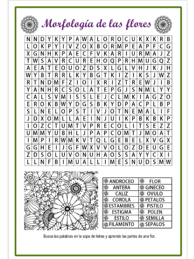 Sopa de Letras de Las Partes de La Flor | PDF