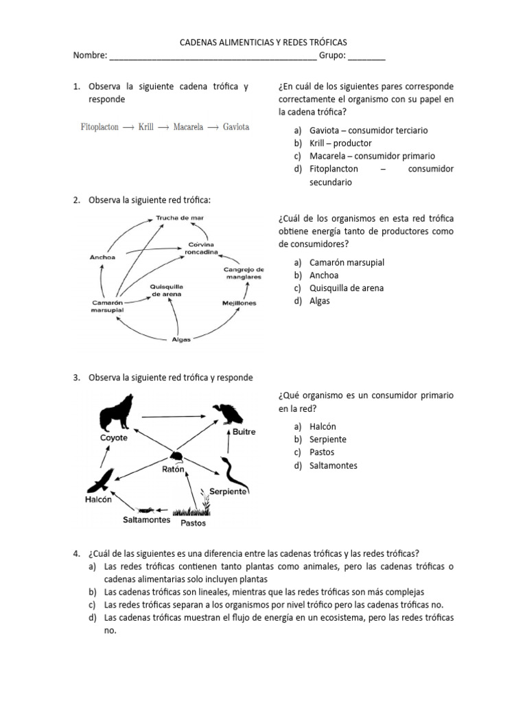 Cadenas Alimenticias y Redes Tróficas | PDF