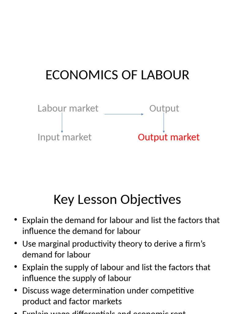Economics of Labour | PDF | Labour Economics | Supply (Economics)