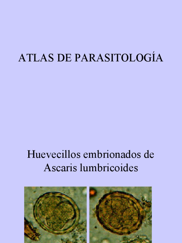 Atlas de Parasitologia | PDF | Plasmodium Falciparum | Parásitos