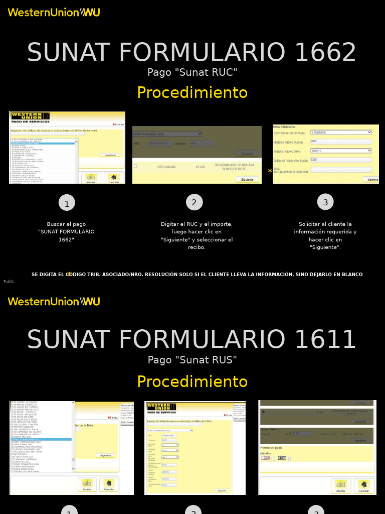 PAGO DE SERVICIOS Pagos Sunat RUC y RUS | PDF