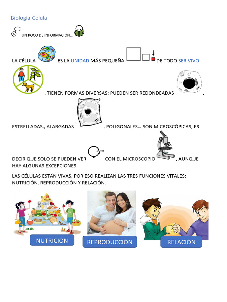 Estructura y Funciones de la Célula | PDF | Biología Celular) | Citoplasma