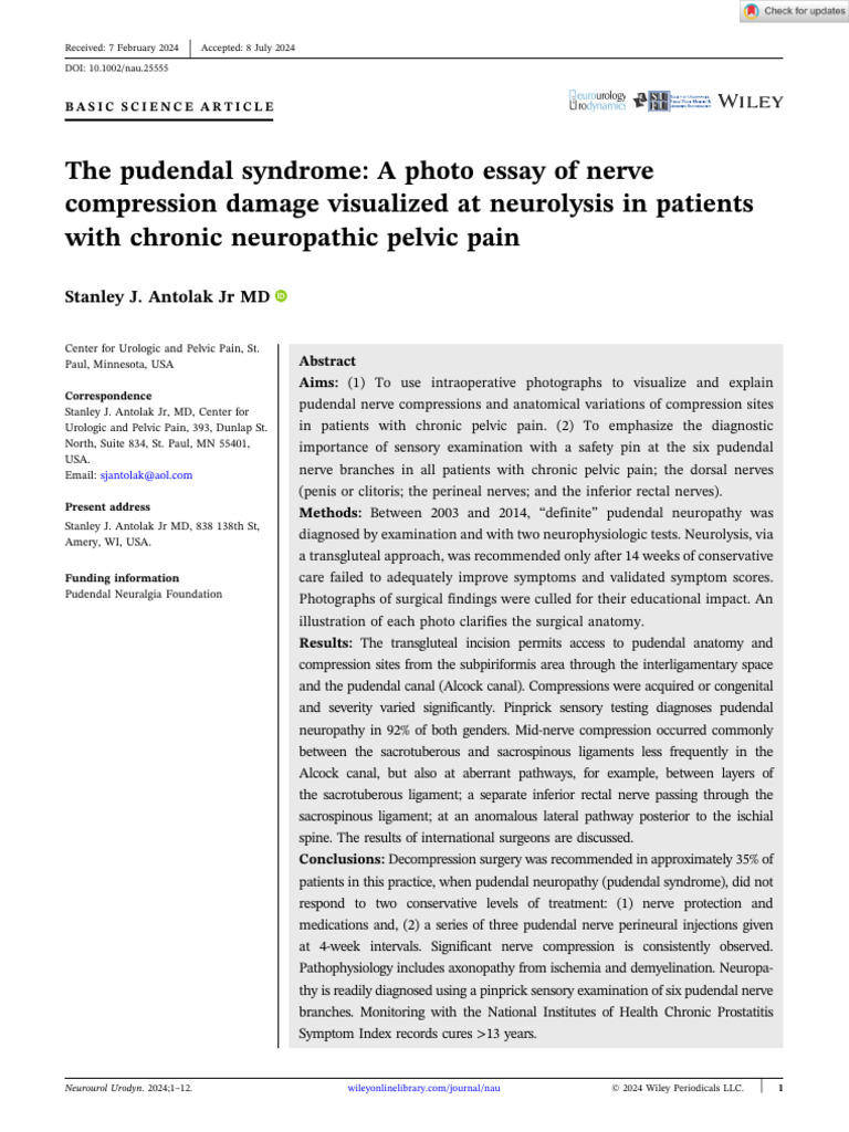 Pudendal Neuralgia: Nerve Compression Insights | PDF | Peripheral ...