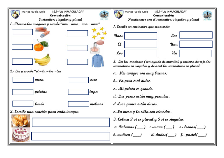 Singular y Plural 2 | PDF