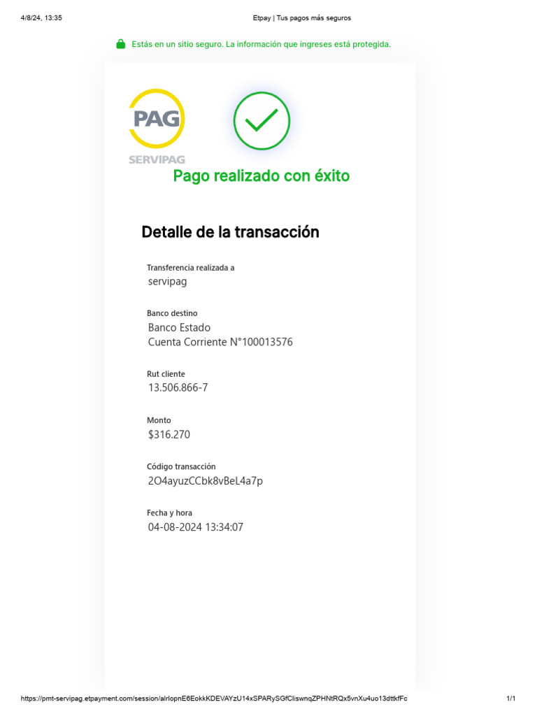 Pago Auto 04 Agosto | PDF