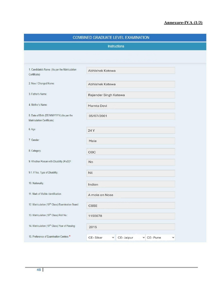 Print Application Form 001 | PDF