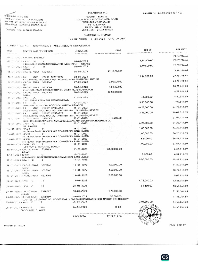 Amex Chem - Pubali Bank Statement | PDF