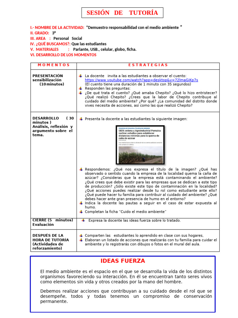 S Tutoría | PDF