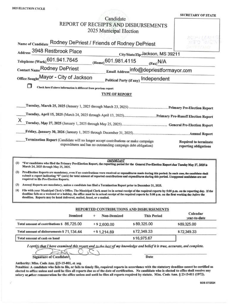 Mayoral General Election | PDF