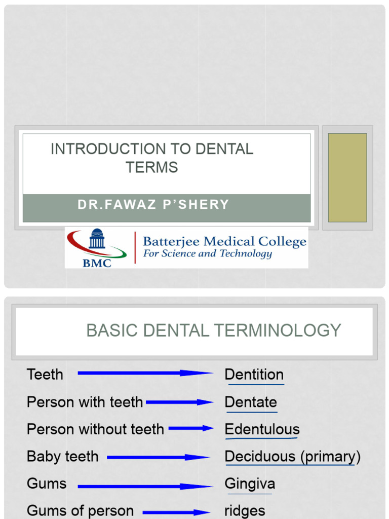 Week 7 Dental Terms-1 2025 | PDF | Human Tooth | Dental Anatomy