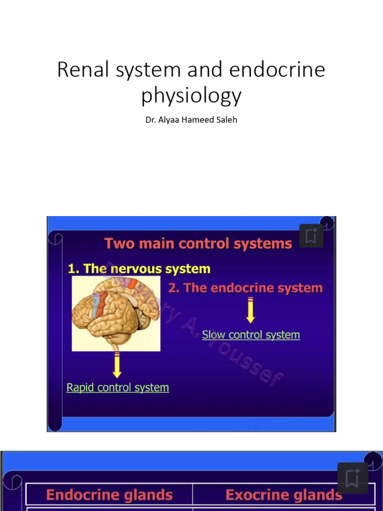 Renal and Endocrine System Physiology | PDF
