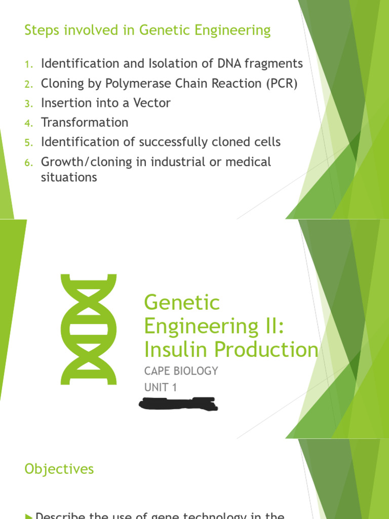 UNIT 1-Genetic Engineering II-Insulin Production - 250610 - 184154 | PDF