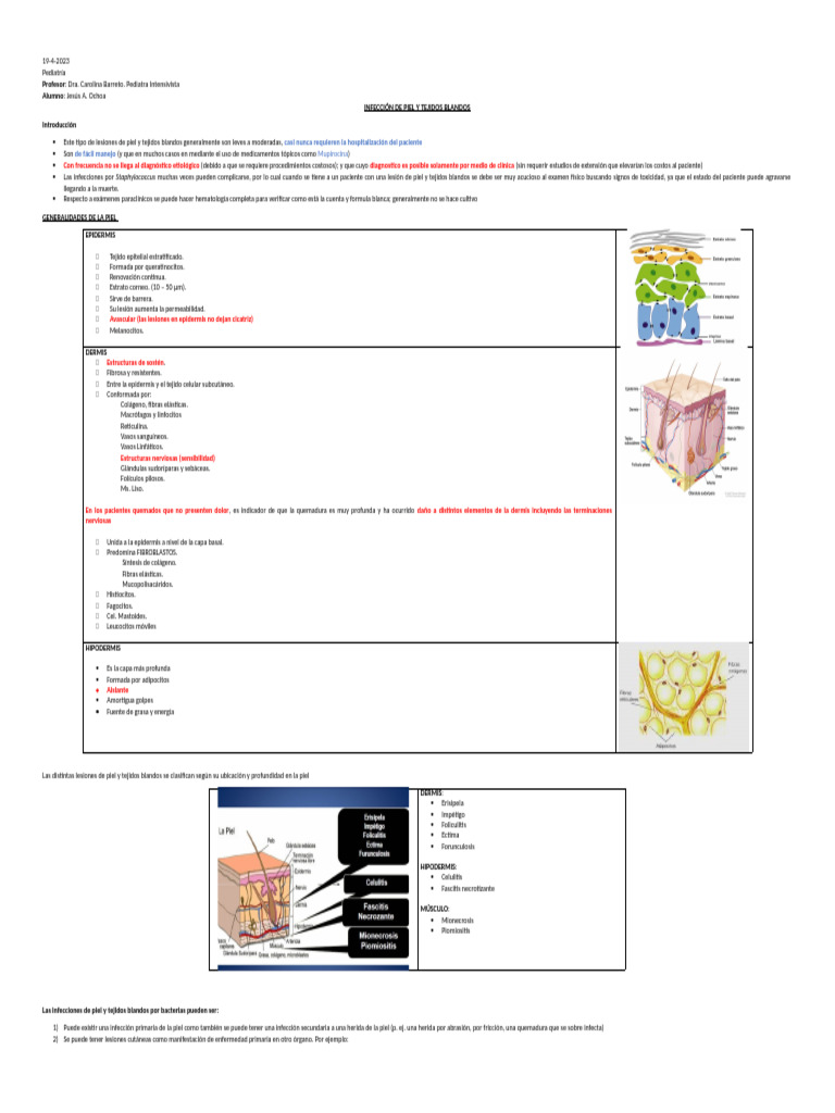 Clase 18. Infección de Piel y Tejidos Blandos. 19-4-2023. Jesús Ochoa | PDF | Piel ...