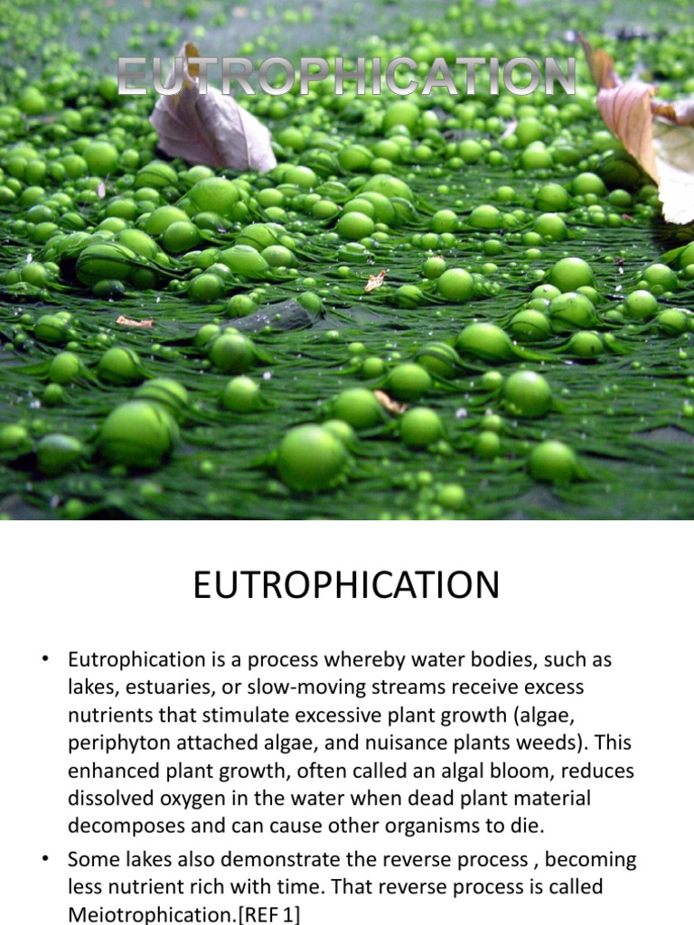 EUTROPHICATION | PDF | Eutrophication | Surface Runoff