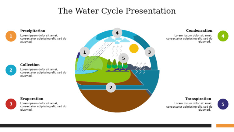 87357-The Water Cycle Presentation | PDF
