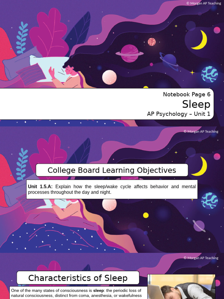 Notebook Page 6 - Sleep-1 | PDF | Sleep | Rapid Eye Movement Sleep