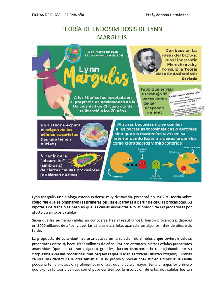 Teoría de Endosimbiosis de Margulis | PDF | Biología Celular) | Simbiosis