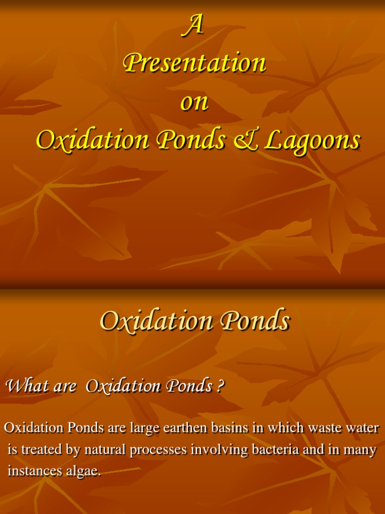 Oxidation Ponds & Lagoons | PDF | Sewage Treatment | Anaerobic Digestion