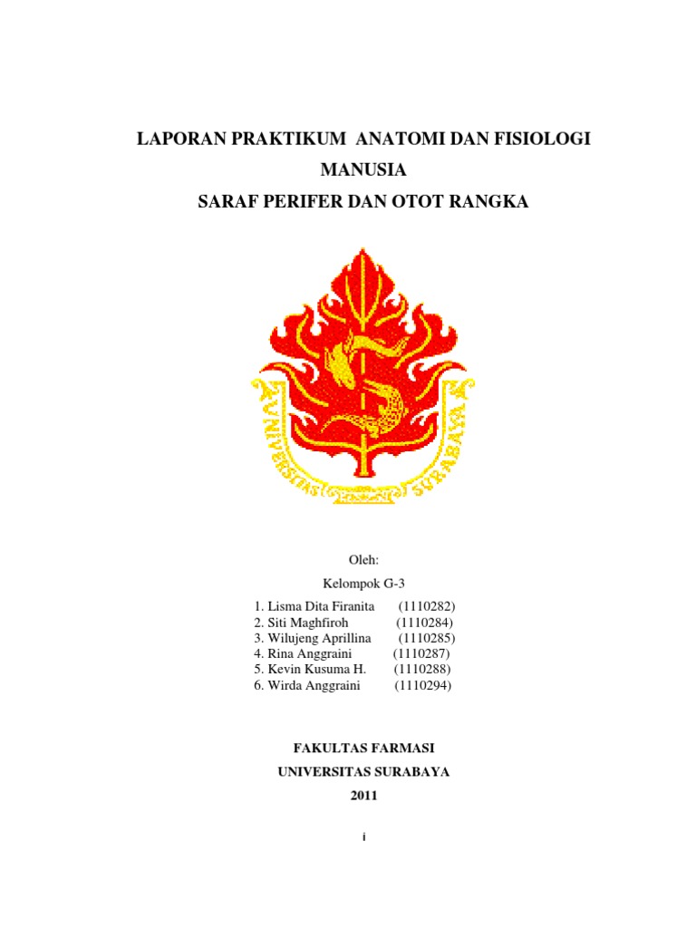 Laporan Praktikum Anatomi Dan Fisiologi Manusia | PDF Laporan Praktikum Anatomi Dan Fisiologi Manusia | PDF