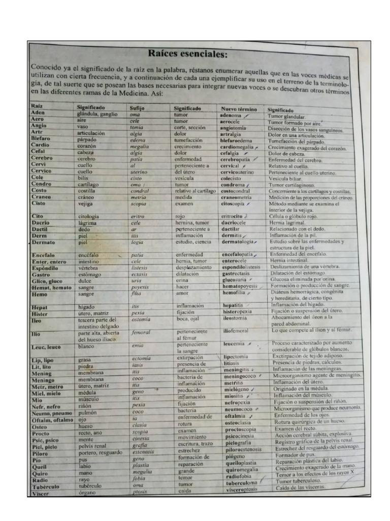 Raices, Prefijos y Sufijos | PDF