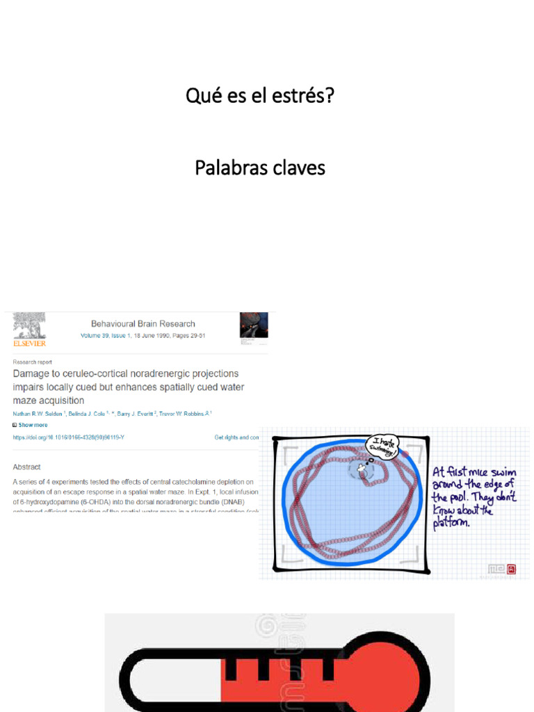 Diplo 2 | PDF | Biología | Ciencias del comportamiento