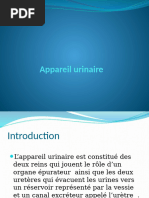 Anatomie de la Loge Rénale et Surrénales | PDF | Péritoine | Rein