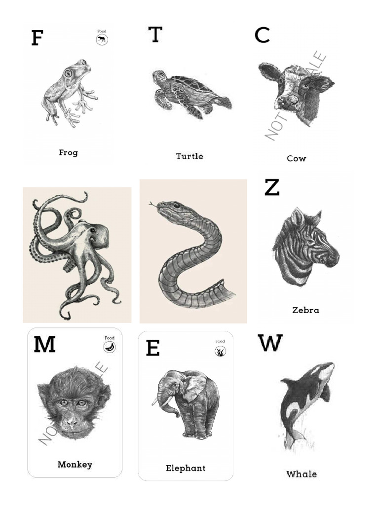 Animal 4D | PDF