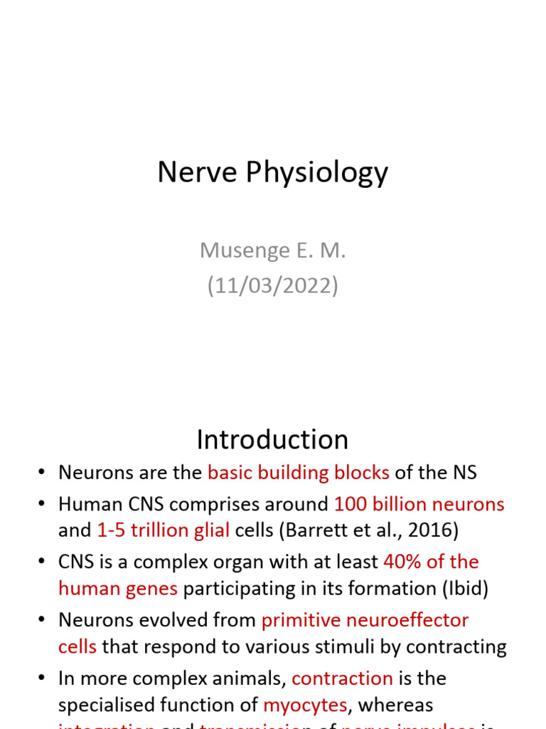 2 Nerve Physiology 11032022 | PDF | Axon | Myelin