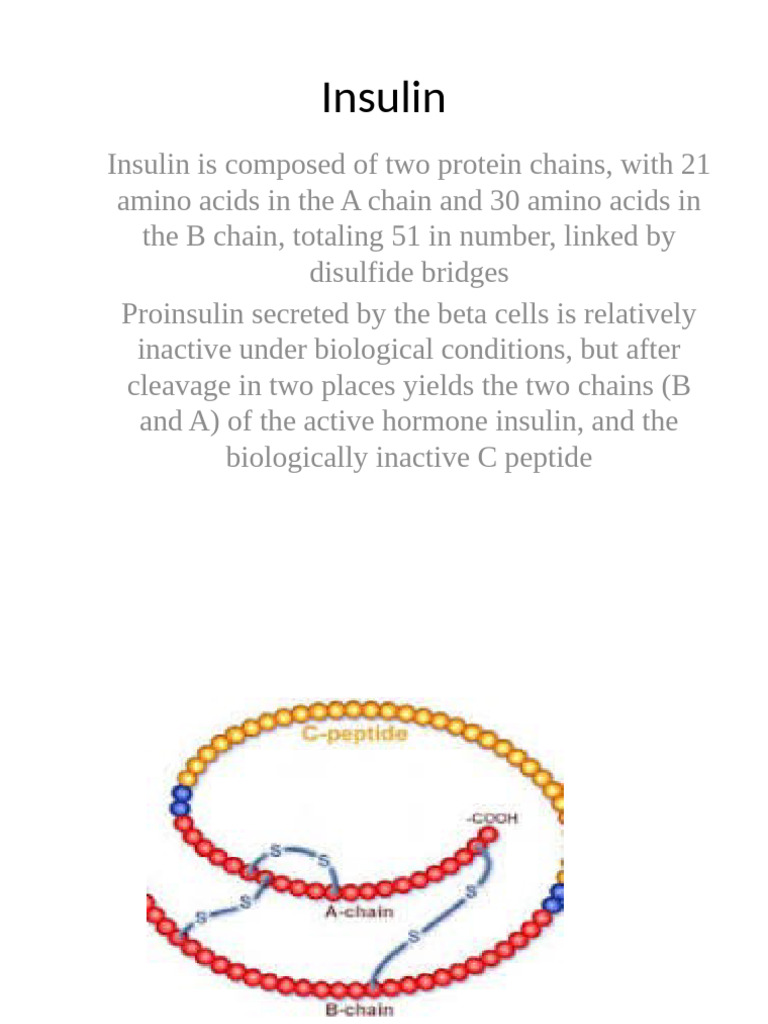 Production of Insulin | PDF | Insulin | Molecular Cloning