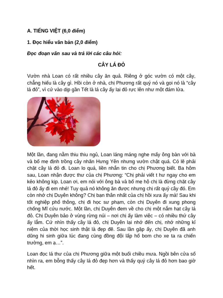 Bài Test TV | PDF