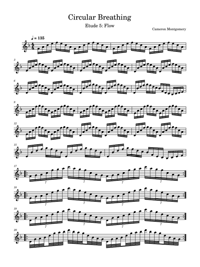 Circular Breathing Techniques Guide | PDF