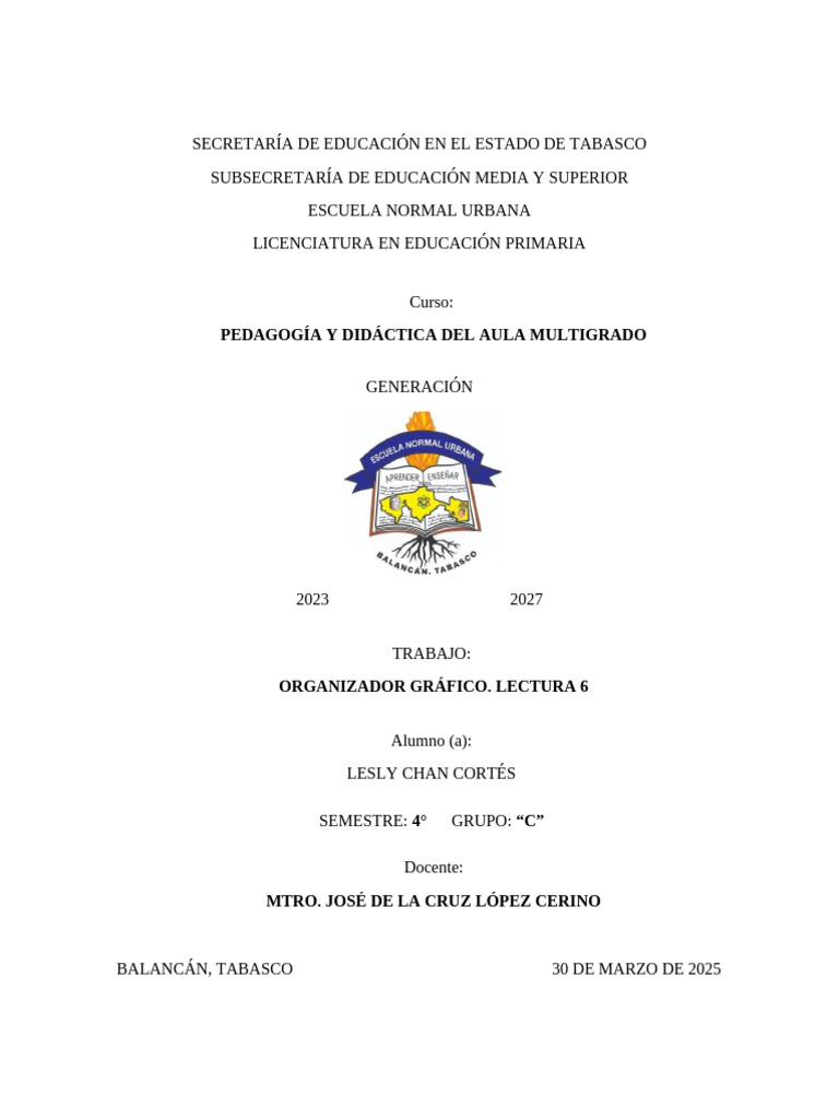 Organizador Gráfico - Lectura 6 | PDF | Enseñando | Educación primaria