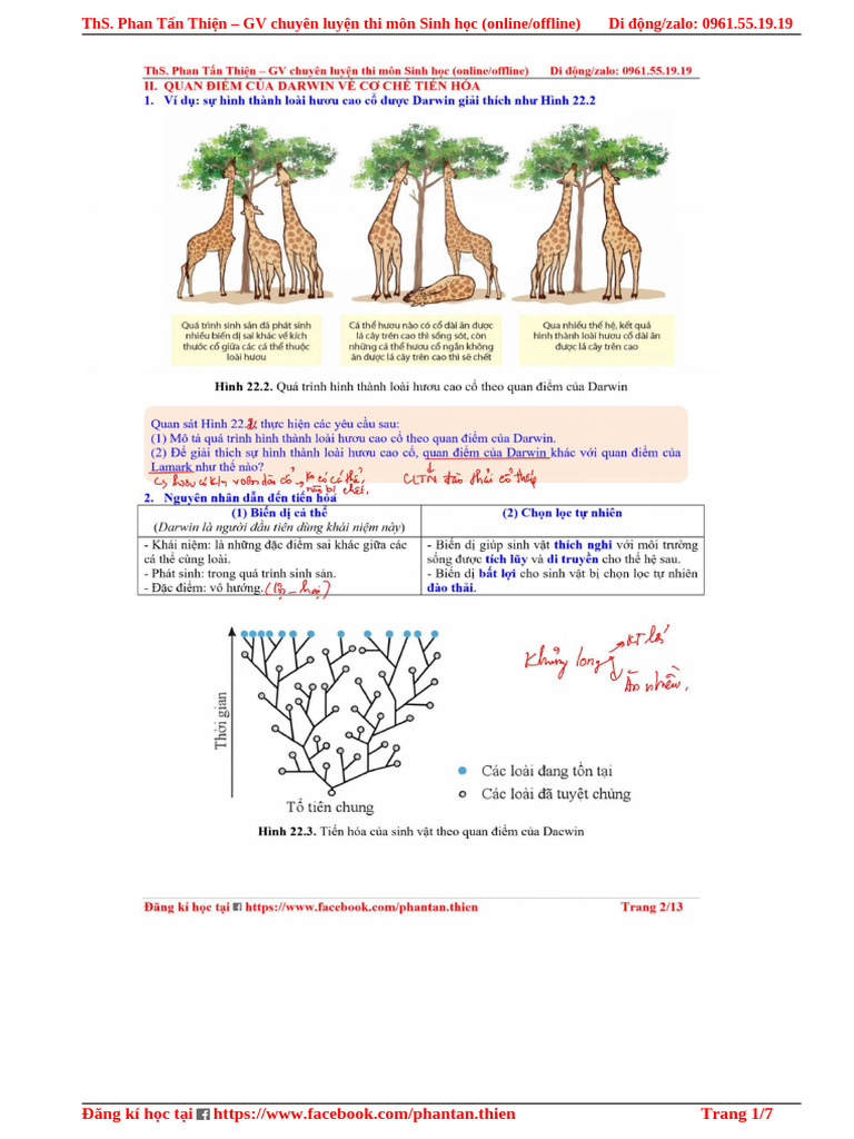 (Nd Bổ Sung) Bài 22. Cơ Chế Tiến Hóa-Vy | PDF